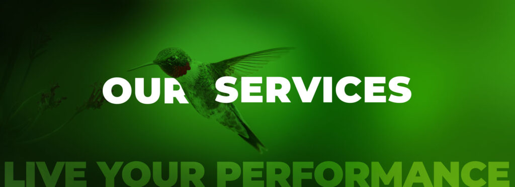 Services - Live Your Performance